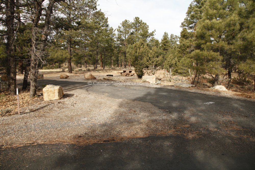 Photo of Campsite 290 in Mather Campground - Pine Loop at Grand Canyon National Park, Arizona ...